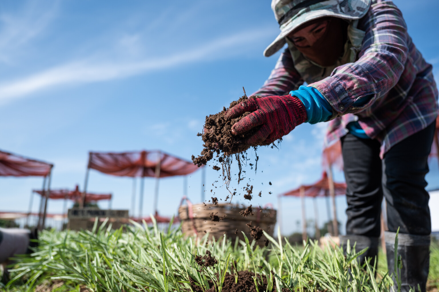 เนสเพรสโซจับมือวันเดอร์ฟรุ๊ต จัดกิจกรรม Nespresso x Wonderfruit Rice ...